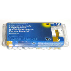 Vanguard L4 B25 By Zoetis