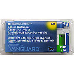 Vanguard Plus 5 L4 - 25 X1-Dose B25 By Zoetis