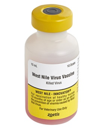 West Nile - Innovator Tank 10Ds By Zoetis
