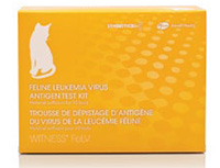 Witness Felv Feline Leukemia Antigen Test Kit B10 By Zoetis