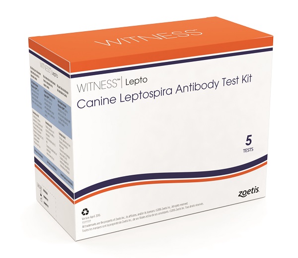 Witness Leptospirosis Canine Test Kit B5 By Zoetis