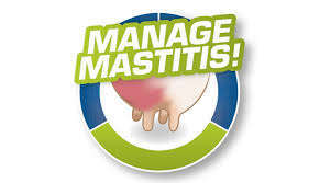 Thrifty Dipper Upright - Teat Dipper Each By Mastitis Management Tool