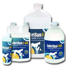 Lubrisyn Ha Pet And Equine Liquid QT. By Halstrum LLC