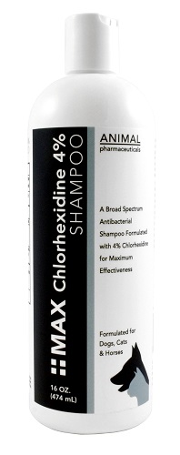 Max Chlorhexidine 4% Shampoo 16 oz By Animal Pharmaceuticals