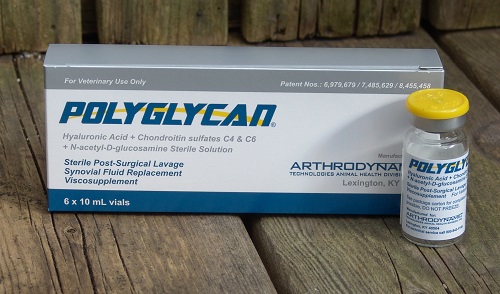 Polyglycan 10ml By Arthrodynamic Technologies