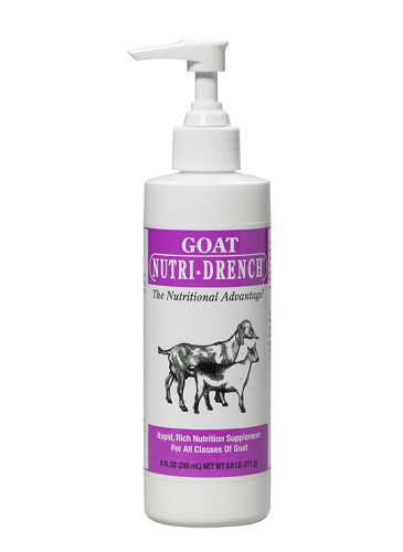 Nutri Drench Goat 8 oz By Bovidrx Laboratories