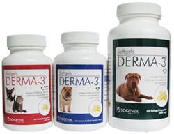 Derma 3 Softgel Caps For Medium Breed Private Labeling Non-Returnable (Sold