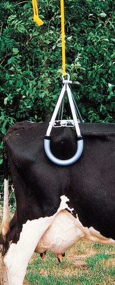 Hip Lift / Cow Lift Each By Cotran Animal Health