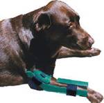 IV Stabilizer Plus Splint 11 (Medium) Teal Each By Cs Tech Us