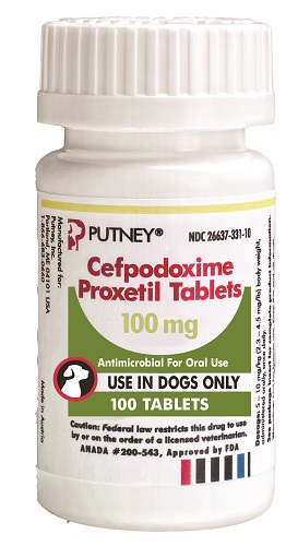 Cefpodoxime Pro Tabs 100mg Vet Label B100 By Dechra Veterinary Products