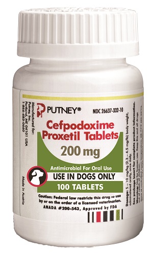 Cefpodoxime Tabs 200mg Scored - Vet Label B100 By Dechra Veterinary ...