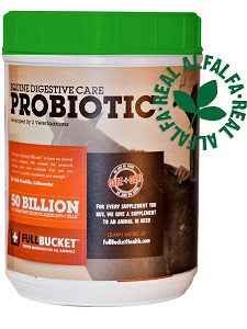 Probiotic Equine Granules Alfalfa (1Kg) 1Kg By Animal Stewards Int