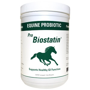 Pro Biostatin Equine Probiotic Supplement Powder - (30 Day Supply) 1Lb ...