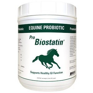 Pro Biostatin Equine Probiotic Supplement Powder - (60 Day Supply) 2Lb ...