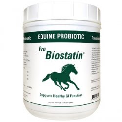 Pro Biostatin Equine Probiotic Supplement Powder - (60 Day Supply) 2Lb ...