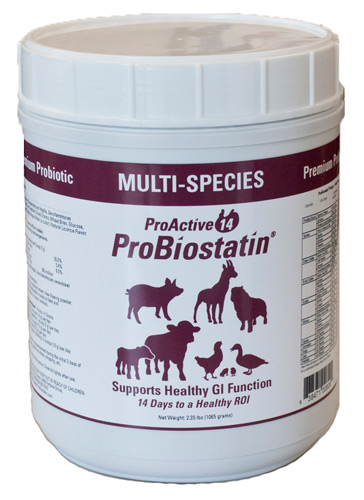 Proactive14 Probiostatin Multi-Species Probiotic Powder 2.3Lb By Glc Direct