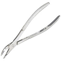 Dental Extracting Forceps Witzel Root Splinter Lower Non-Returnable - Dr