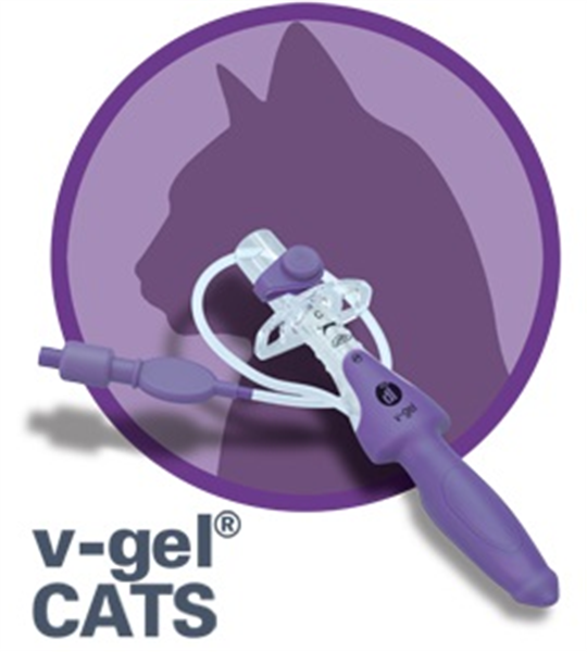 V-Gel Cat Supraglottic Airway Device C3 Non-Returnable - Dropship : Expect