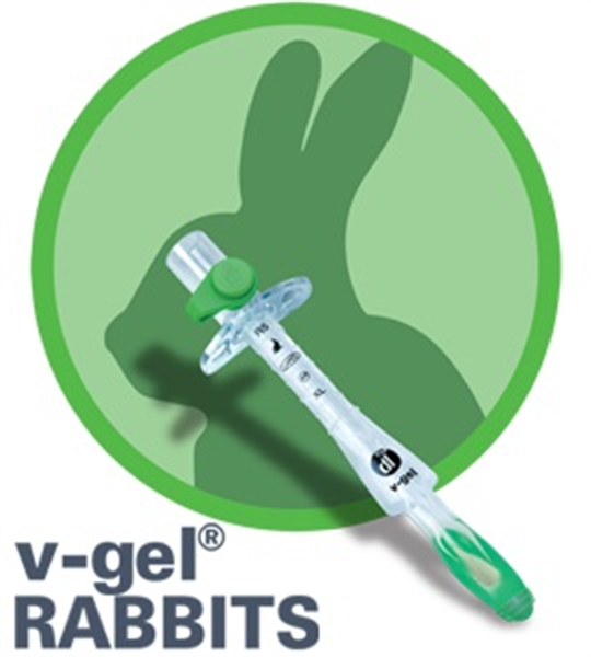 V-Gel Rabbit Supraglottic Airway Device R2 Non-Returnable - Dropship : Exp