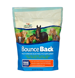 Bounce Back Multi-Species Electrolyte Supplement 4Lbs Each By Manna Pro ...
