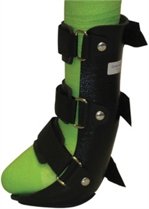 Ortho Vet Splint Front Leg Large 11H Each By Ortho Vet