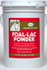 Foal Lac Powder 20Lb By Pet Ag