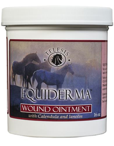Equiderma Wound Ointment 16 oz By Telesis (Equiderma)