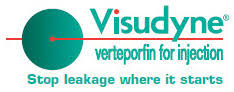 Rx Item-Visudyne (Verteporfin) Pr Inj 15Mg By Bausch & Lomb Valeant Pharma