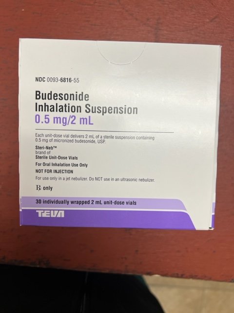 Budesonide 0.5mg 2ml Respules 30X2ml by Teva Pharma gen Pulmicort
