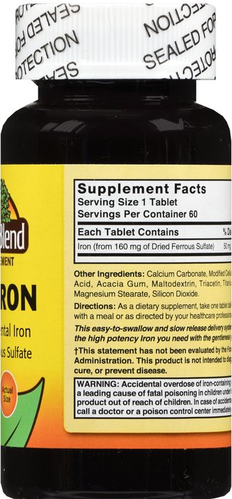 Case of 12-Iron Slow Release Tab 60 Count Nature's Blend