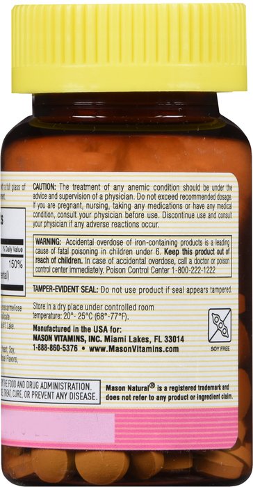 Case of 12-Ferrous Gluconate 240mg Tablet 100 Count Mason