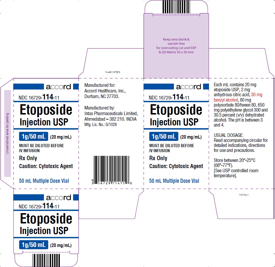 Rx Item-Etoposide 1GM 50 ML Multi Dose Vial by Accord Gen Vepesid