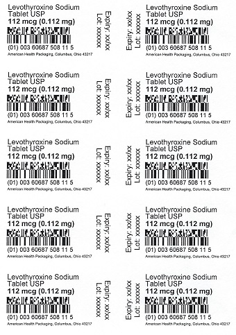 Rx Item-Levothyroxine 112MCG 100 Tab by AHP Gen Synthroid Unit Dose