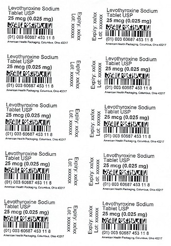 Rx Item-Levothyroxine 25MCG 100 Tab by AHP Gen Synthroid Unit Dose