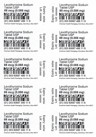 Rx Item-Levothyroxine AHP 88MCG 100 Tab by AHP Gen Synthroid