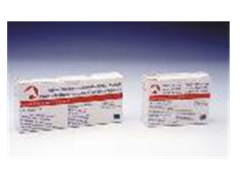 Equine Potomavac + Imrab Vaccine, Killed Virus By Boehringer Ingelheim ...