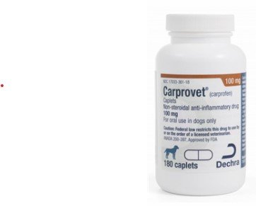 Carprovet (Carprofen) Caplets for Dogs 100mg, 180 By Dechra Veterinary ...