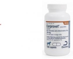 AmericanPharmaWholesale: Dechra Veterinary Products