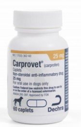 Carprovet (Carprofen) Caplets for Dogs 25mg, 60 By Dechra Veterinary ...