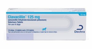 Clavacillin (Amoxicillin / Clavulanate Potassium) Veterinary Tablets ...