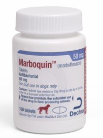 Marboquin Tablets Antibacterial 50mg By Dechra Veterinary Products