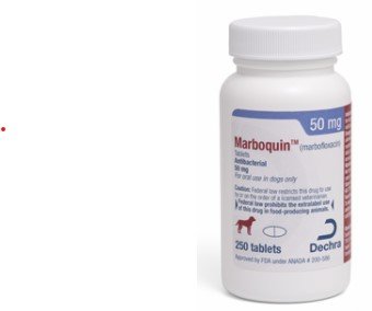 Marboquin Tablets Antibacterial 50mg By Dechra Veterinary Products