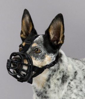 Baskerville Ultra Muzzle, Size 3 By KVP