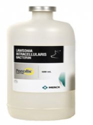 Porcilis Ileitis By Merck