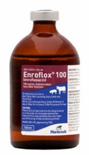 Norbrook Enroflox 100 (Enrofloxacin), Antimicrobial Injectable Solution ...
