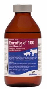 Norbrook Enroflox 100 (Enrofloxacin), Antimicrobial Injectable Solution ...