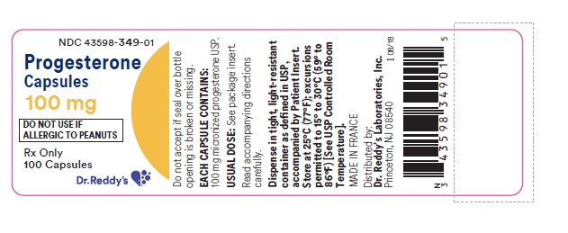 Rx Item-Progesterone 100 Mg Cap 100 By Dr. Reddy'S Laboratories USA