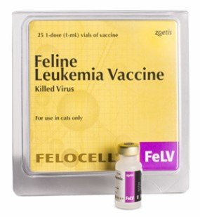 Felocell FeLV Feline Leukemia Vaccine, Killed Virus, 25 x 1mL By Zoetis