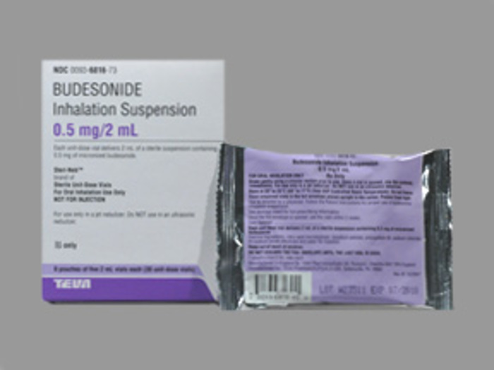 Rx Item-Budesonide 0.5Mg/2Ml 6X5X2 Ml Ampoule By Teva Gen Pulmicort