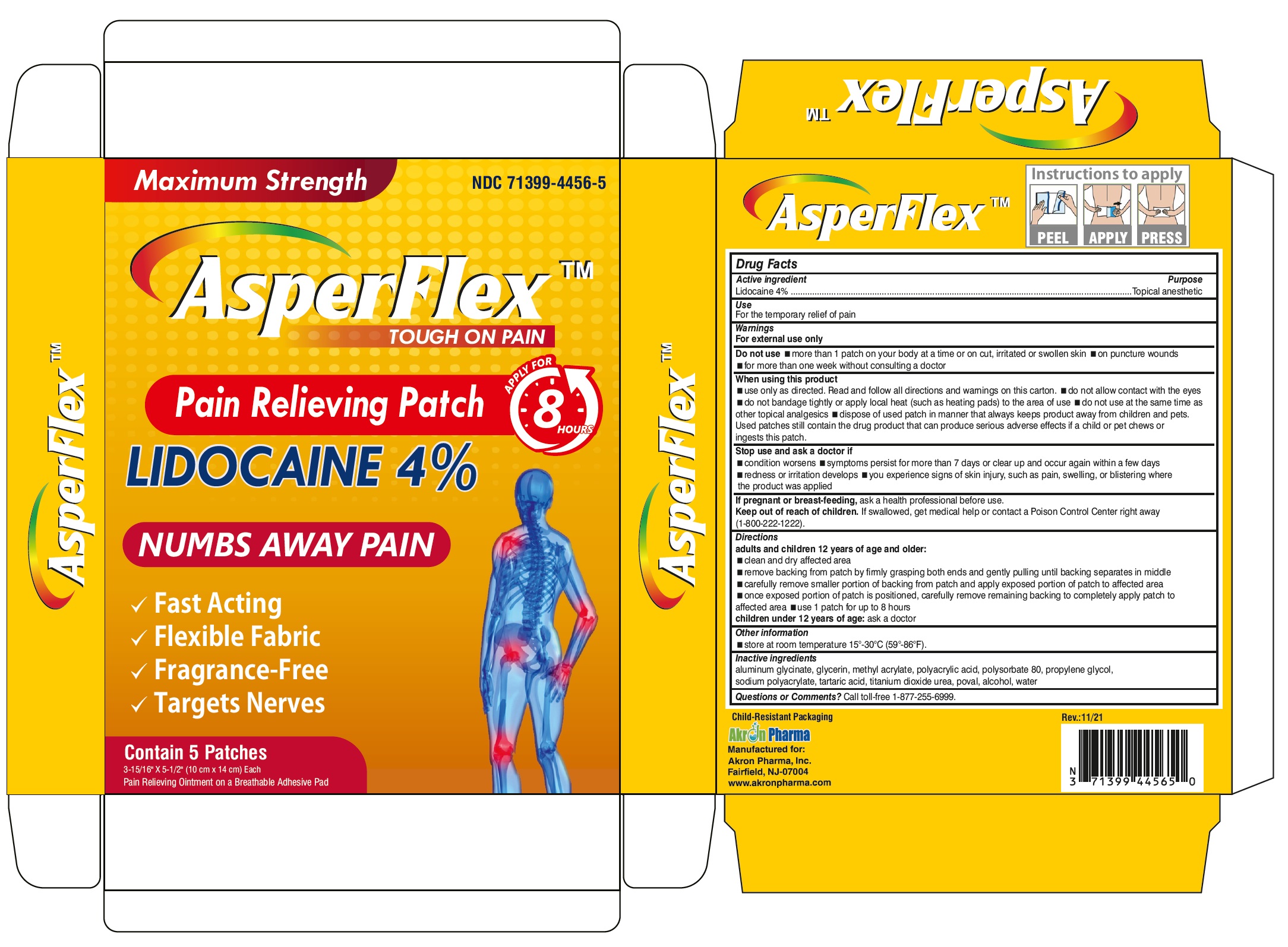 Case of 48-Asperflex 4% Lidocaine Patches Box of 5 by Akorn Pharma USA